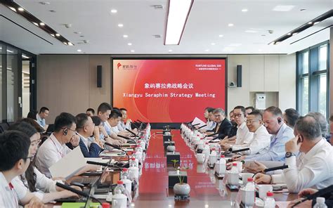 Seraphim Supplies Local Content Pv Modules To South Africa