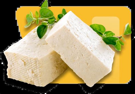 پنیر لیقوان خیر الله شاهی پناهیان سپیدار پنیر لیقوان خیر الله شاهی پناهیان سپیدار