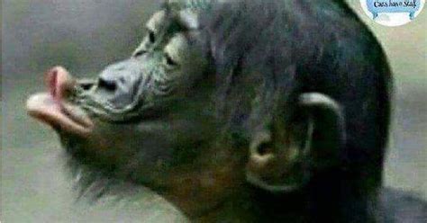 You Know Them All Album On Imgur