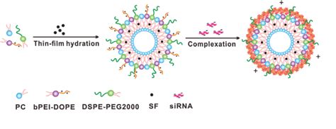 Focus On Nanoparticle Delivery Systems Biomaterials Science Blog