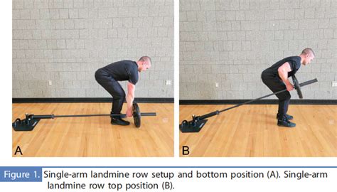 Landmine Row Dont Skip This On Back Day — Scisport Performance