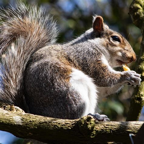 David Munn Photography Added A David Munn Photography