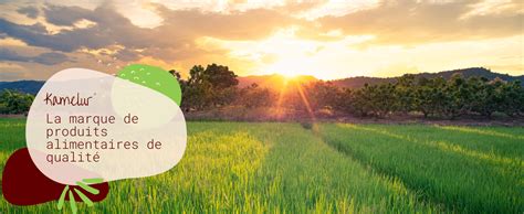 500g Organic Cocoa Powder Made From The Best Cocoa Beans Raw Food