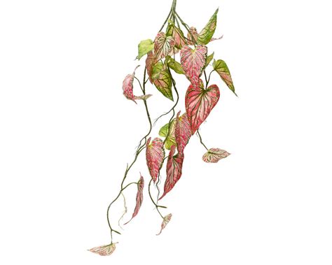 Artificial Scindapsus Aureus Bush 91cm Southwood Garden Centre