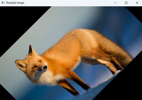 【python】opencvで画像を回転させる