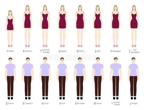 Set Of Women Men Body Shapes Types Apple Pear Triangle Column