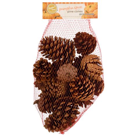 Save On Limited Time Originals Pine Cones Pumpkin Spice Scented Order Online Delivery Giant