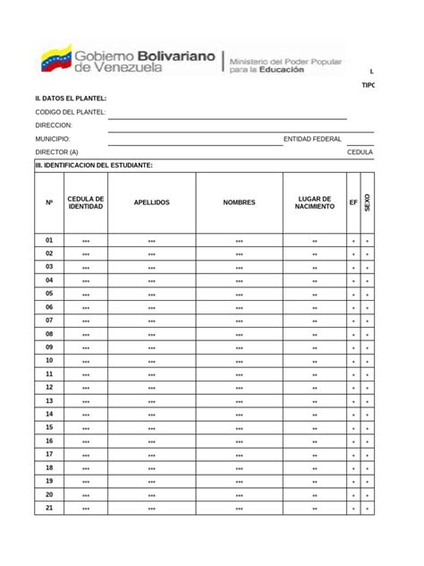 Formato De Resumen Final Pdf Documento De Identidad Gobierno Y