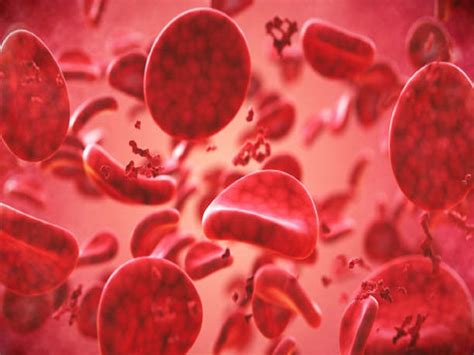 Indias Anaemia Prevalence Increased By 9 Among Adolescent Women In