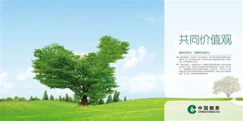 中国烟草公司招聘真后悔从烟草辞职了 随意云