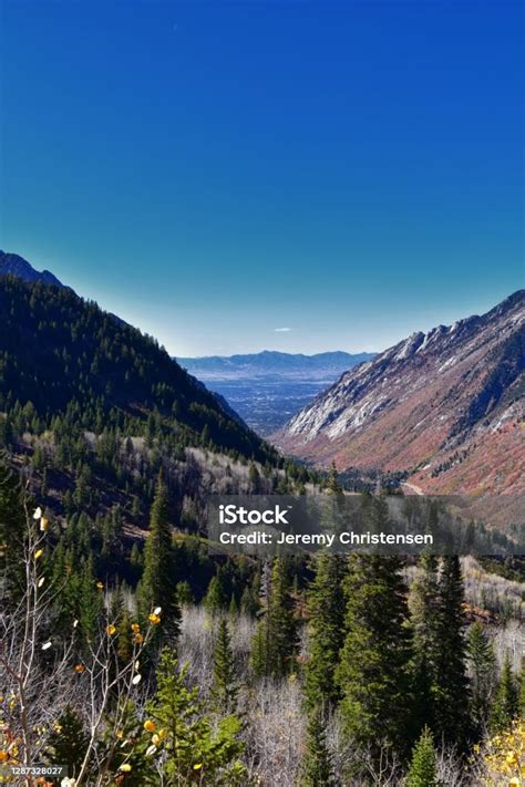 리틀 코튼우드 캐년 와사치 록키 산맥 유타 미국의 솔트레이크 밸리를 향한 트레일 산악 풍경에서 레드 파인 레이크의 전경 0명에 대한 스톡 사진 및 기타 이미지 Istock