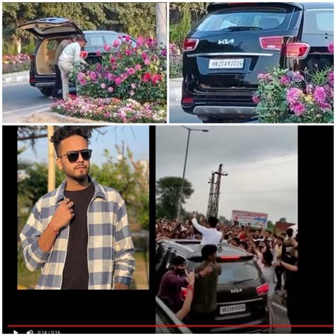 Chibi Dehya Rdehyamains