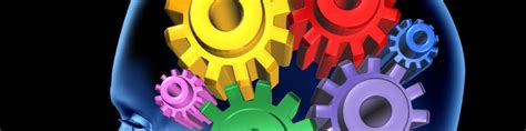 Cuáles Son Las Funciones Cognitivas Básicas Rx2 Center