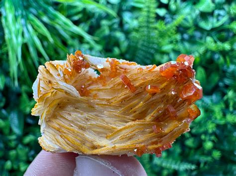Red Vanadinite On Matrix From Moroccocrystal Mineralspecimenclustervanadinite Crystal