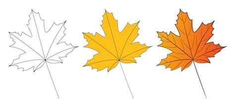 Fall Maple Leaf Drawing Maple Leaf Png And Svg Design For T Shirts