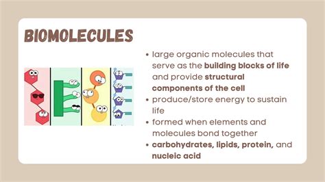 Biomolecules Biomolecules Biomolecules Biomolecules Pdf
