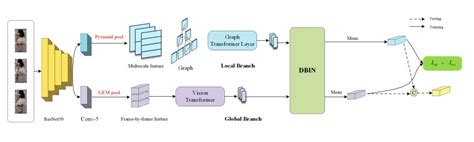Video Based Person Re Identification With Complementary Local And