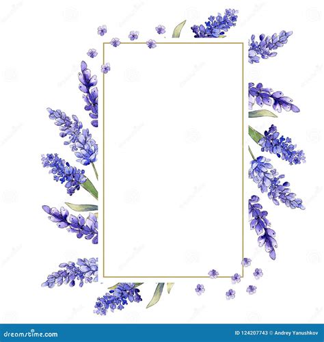 Lavender Border Royalty Free Illustration 121813776