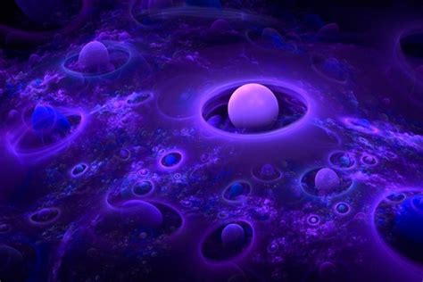 Coral Guts And Sex Pint Of Science Australia