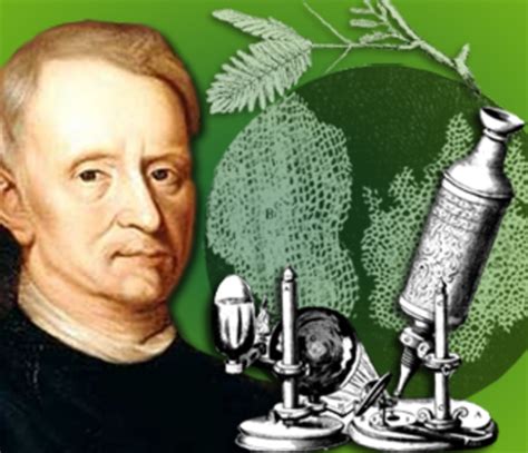 Who Was Robert Hooke 8 Interesting Robert Hooke Facts My Interesting