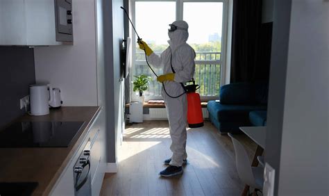Contact Us Swf Egypt Pest Control