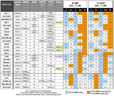 Cell Cycle Analysis Of 25 Cancer Cell Lines Treated With Xl888 Or