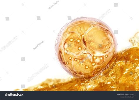 Gold Bubble Molecule Cosmetics Product Stock Illustration 2551228305 Shutterstock