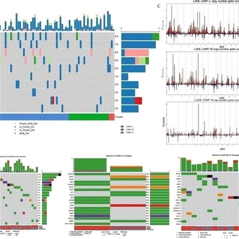 Association Between Cimp And Genomic Alterations A Mutation Profiles