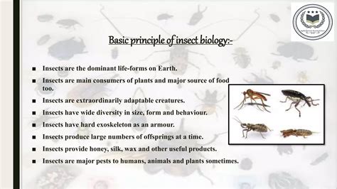 Forensic Entomology Pptx Biological Sciences Science