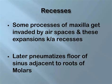 Maxillary Sinus Pptx
