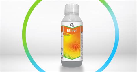 Bayer Ethrel Versatile Plant Growth Regulator For Better Harvests