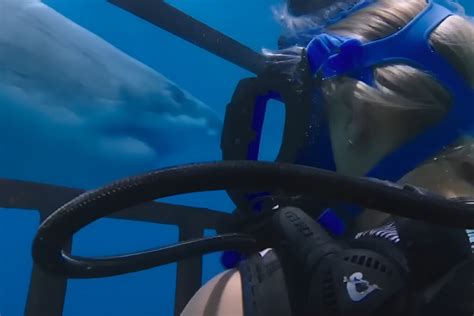 47 Meters Down 2017 Terreur Tv