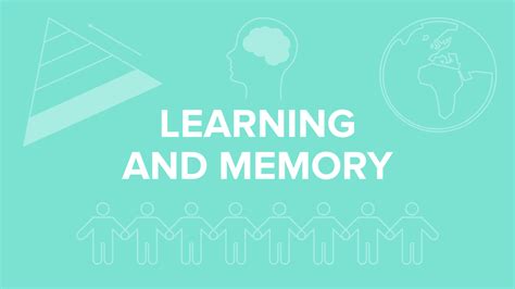 Learning And Memory For The Mcat Everything You Need To Know