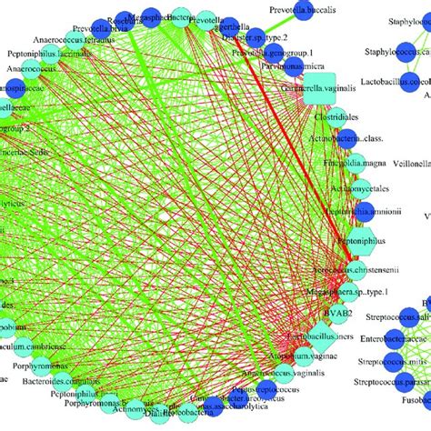 The Sdn Network Graph For Individual S112 In The 25 Mixed Cohort Hub Download Scientific