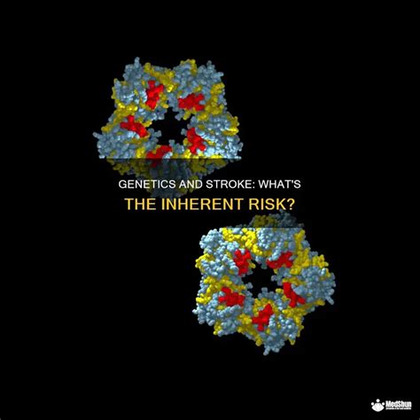 Genetics And Stroke Whats The Inherent Risk Medshun