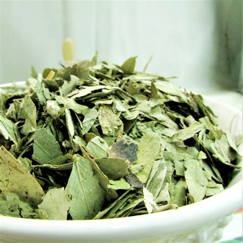 Chá De Sene Folhas Empório Manjericão