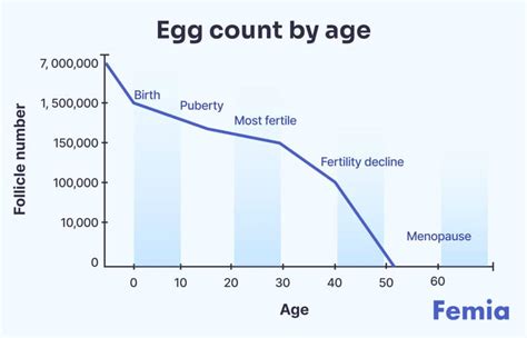 How Many Eggs Does A Woman Have A Complete Guide Femia