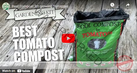 Best Compost For Tomatoes Nourishing Your Plants For Abundant Harvests