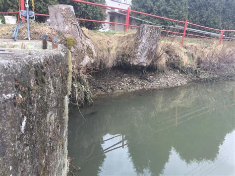 Rybník Obnova Nádrže R1 Rybník Excelák Oficiální Stránky Městys Litultovice