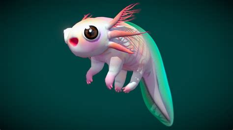Little Axolotl 3d Model By Naarodrig A7004d3 Sketchfab