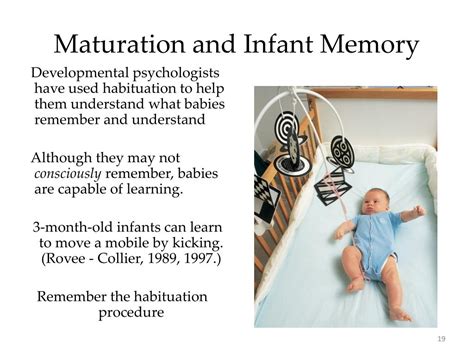 Ppt Human Development Powerpoint Presentation Free Download Id3453392