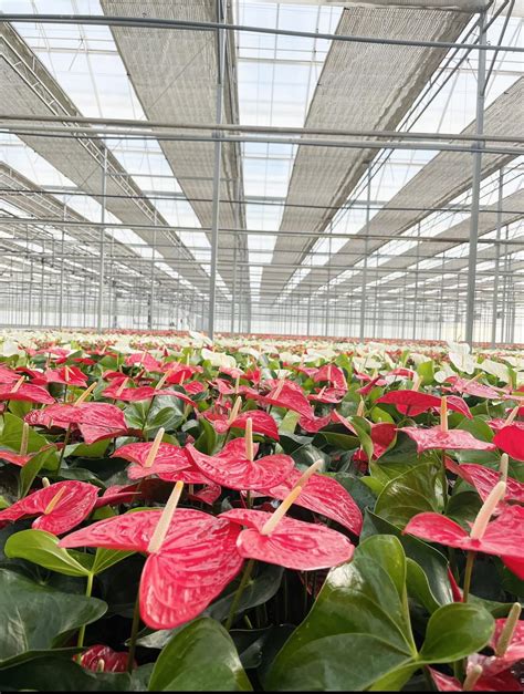 Municipality Of North Municipality Of North Middlesex