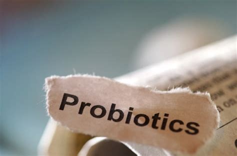 The Many Benefits Of Bifidobacteria Probiotics Keystone Microbes For Gut And Immune Health