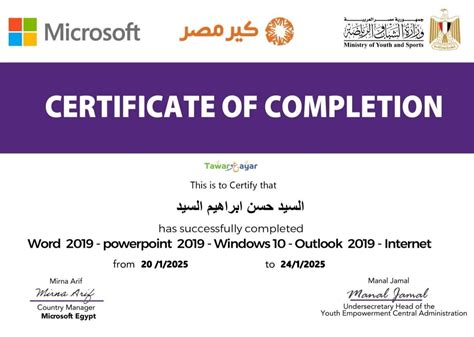Microsoft Excel Access Accounting Dataanalysis Continuous Professional Elsayed Hassan