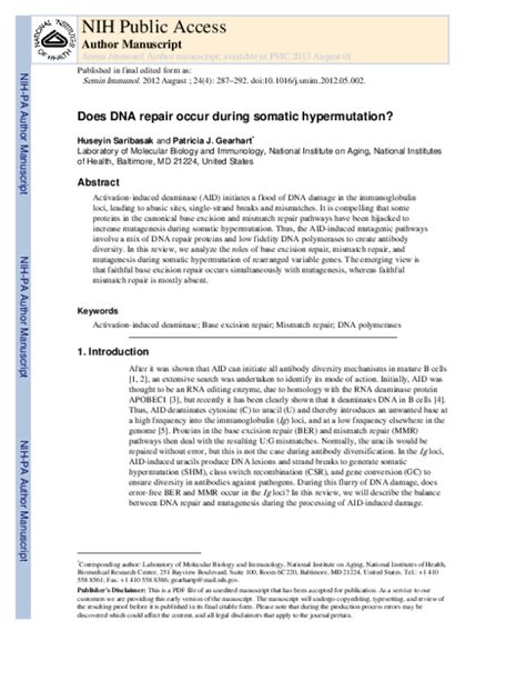 Pdf Does Dna Repair Occur During Somatic Hypermutation