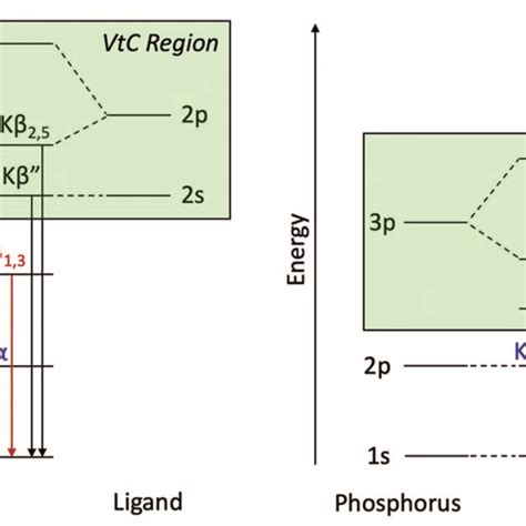 Energy Level Diagrams For 3d Transition Metal And Ligand Binding Left