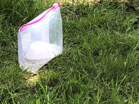 Dsc00875 Aaron Cutler Memorial Library Flickr