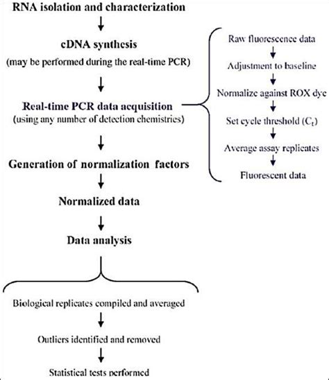 Steps Performed When Measuring Gene Expression Using Real Time Pcr Download Scientific Diagram