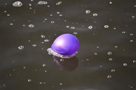 Premium Photo High Angle View Of Bubbles In Sea