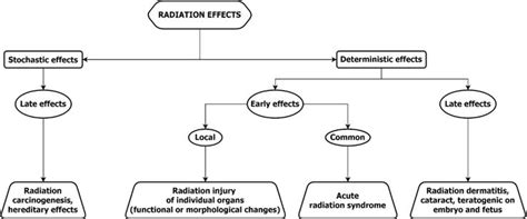 Basic Radiation Protection For The Safe Use Of Radiation And Nuclear